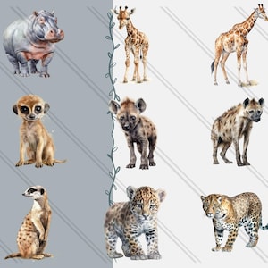 52 Safari Animals Clipart Watercolor Bundle, Jungle Safari PNG, African ...