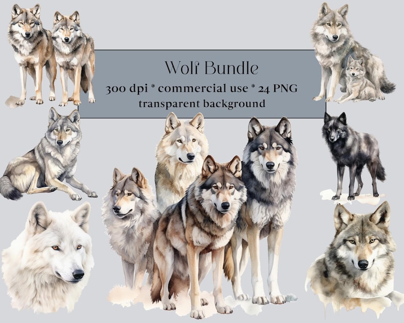 24 Wolf PNG Collection Watercolor Wolves Pack Wolf Pack - Etsy