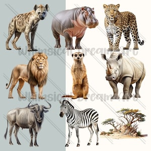 50 Safari Animal Clipart Bundle, Jungle Savannah PNG, African Animals ...