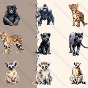 54 Jungle Animals Clipart Watercolor Bundle, Jungle Safari PNG, African ...