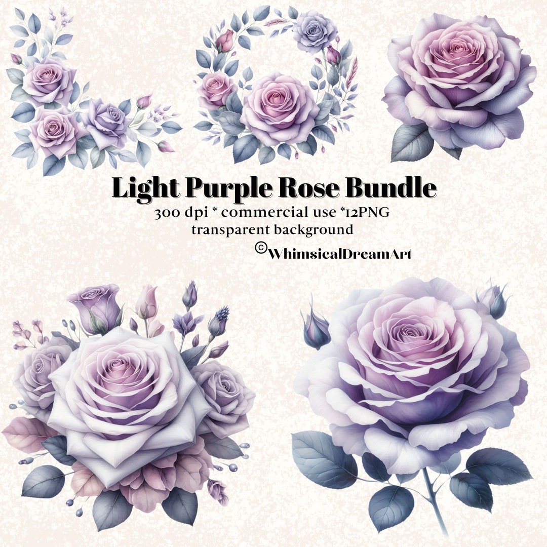 12 Watercolor Light Purple Rose Collection Clipart, Pale Purple Rose ...