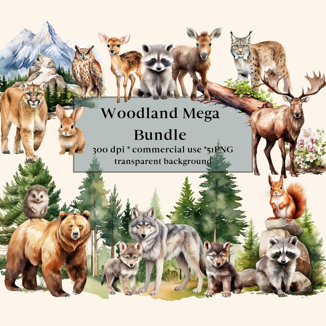 51 Woodland Animals Clipart, Watercolor Forest Animals Png, Wild ...