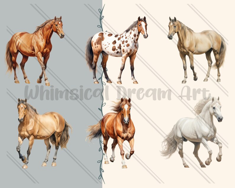24 Horse PNG Collection Horse Clipart Set Watercolor Horse - Etsy Australia
