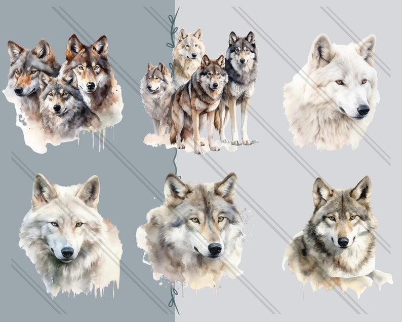 24 Wolf PNG Collection , Watercolor Wolves Pack, Wolf Pack, Wolf ...