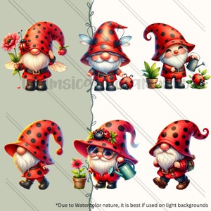 30 Ladybug Gnomes PNG Bundle Collection, Gardening Gnomes Sublimation ...