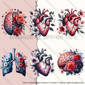 32 PNG Watercolor Organ & Flower Clipart, Watercolor Human Anatomy ...