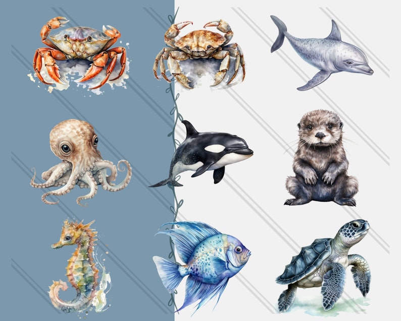 54 Watercolor Sea Creatures Clipart PNG Sealife Wall Art - Etsy