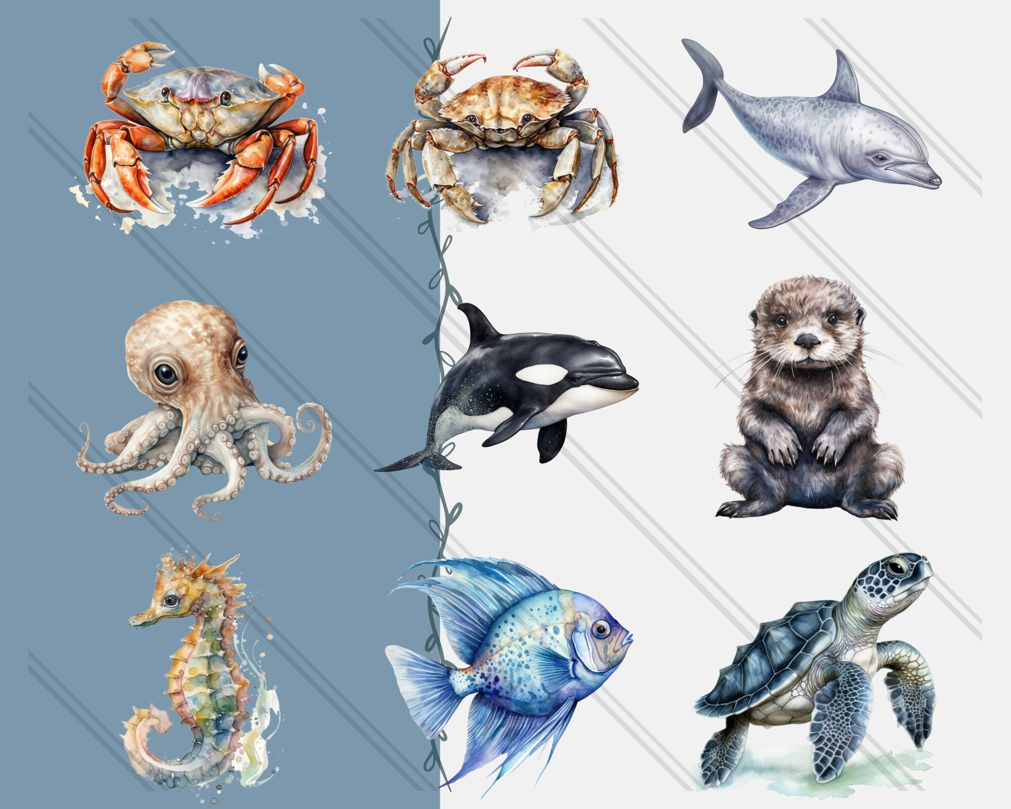 54 Watercolor Sea Creatures Clipart PNG Sealife Wall Art - Etsy