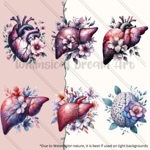 32 PNG Watercolor Organ & Flower Clipart, Watercolor Human Anatomy ...