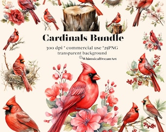 Christmas Red Cardinal Clipart Bundle, Winter Bird Watercolor, Two ...