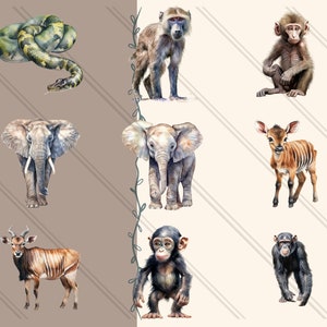 54 Jungle Animals Clipart Watercolor Bundle, Jungle Safari PNG, African ...