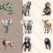 54 Jungle Animals Clipart Watercolor Bundle, Jungle Safari PNG, African ...