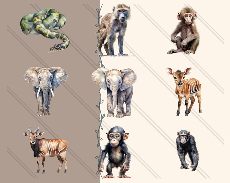 54 Jungle Animals Clipart Watercolor Bundle, Jungle Safari PNG, African ...