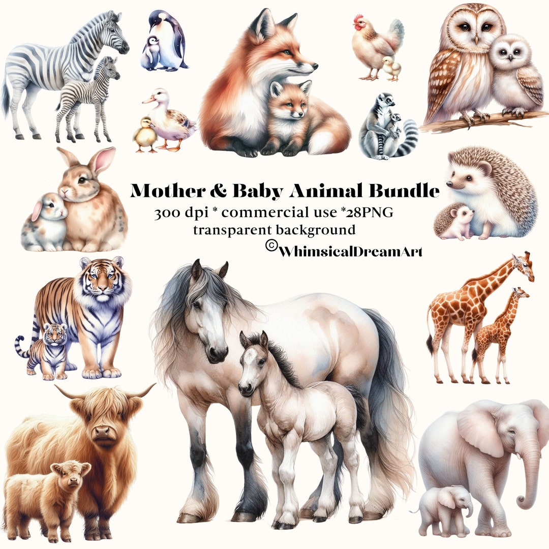 28 Mother & Baby Animal PNG Collection, Baby Animals, Cute Animal PNG ...