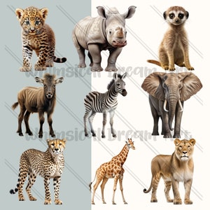 50 Safari Animal Clipart Bundle, Jungle Savannah PNG, African Animals ...