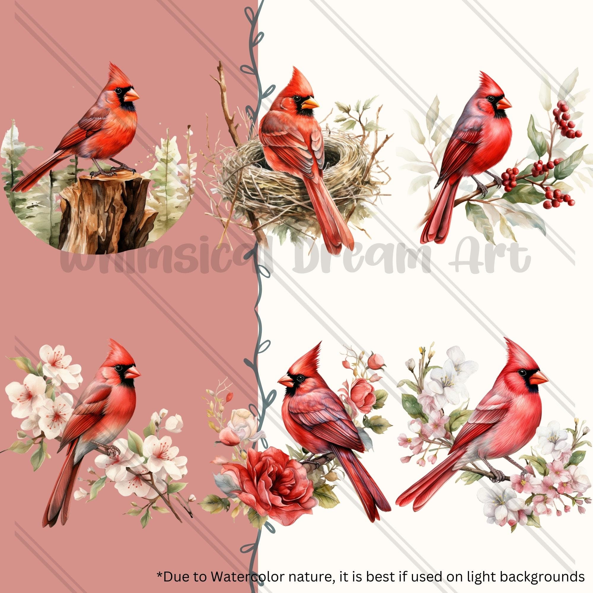 25 Red Cardinal Clipart Bundle, Winter Bird Watercolor, Two Birds PNG ...