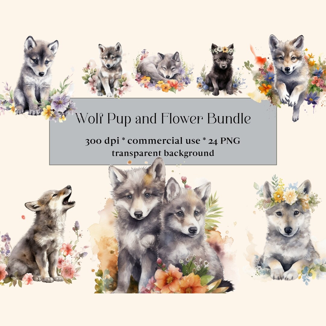 24 Wolf Pup and Flower PNG Collection , Watercolor Wolves Pack, Wolf ...