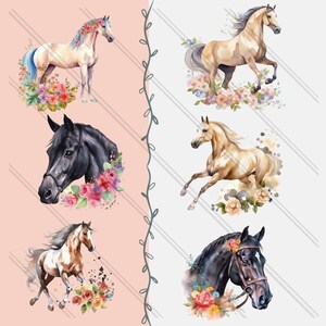 22 Horse PNG Collection |horse Clipart Set |watercolor Sublimation ...