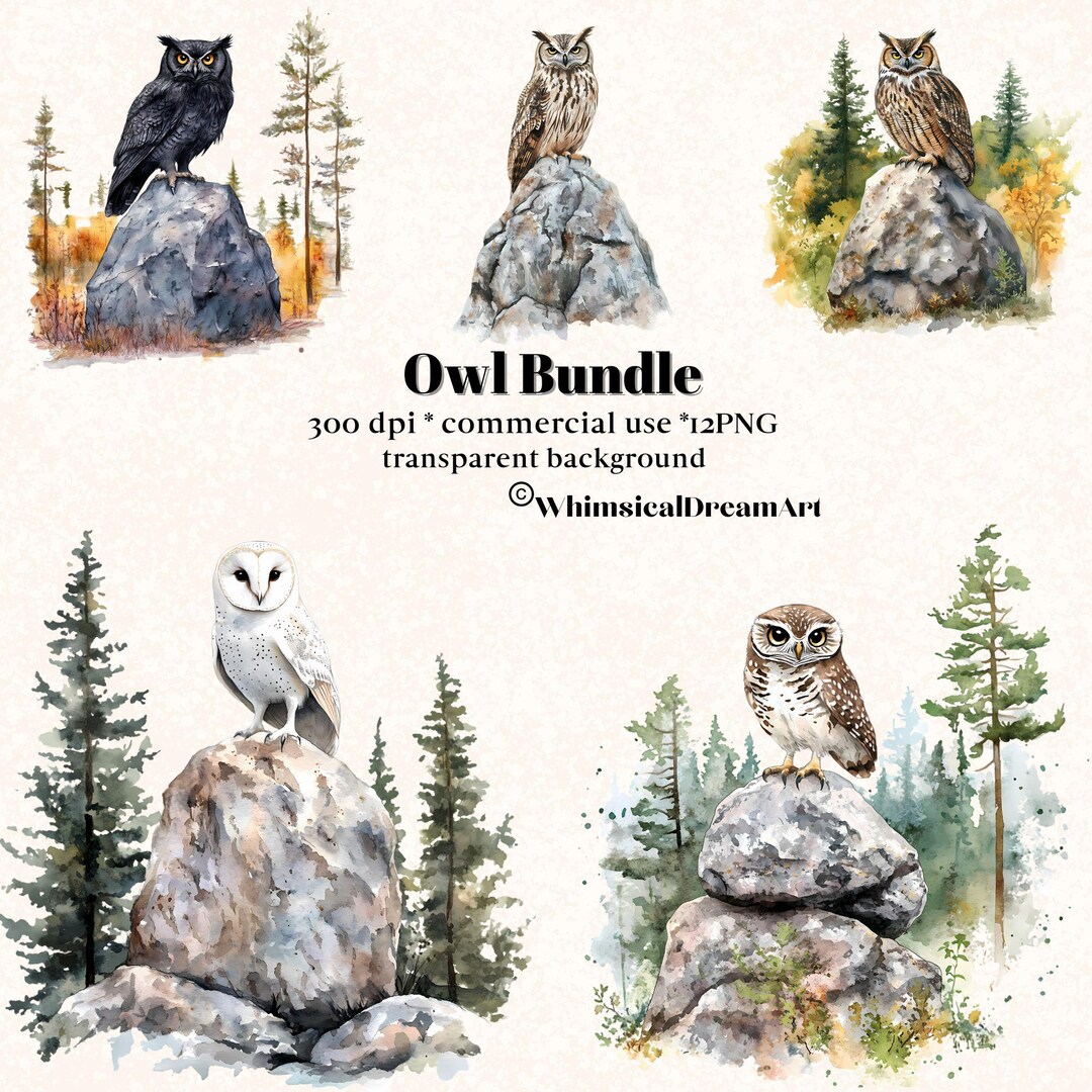 12 Watercolor Owl Collection Clipart, PNG Realistic, Woodland Designs ...