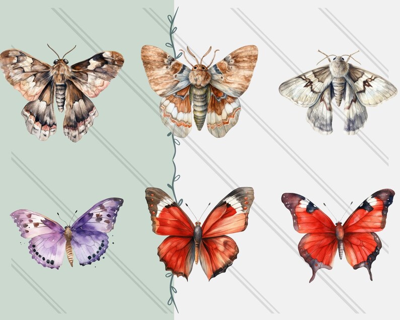 28 Butterfly Clipart Watercolor Monarch Butterfly PNG - Etsy