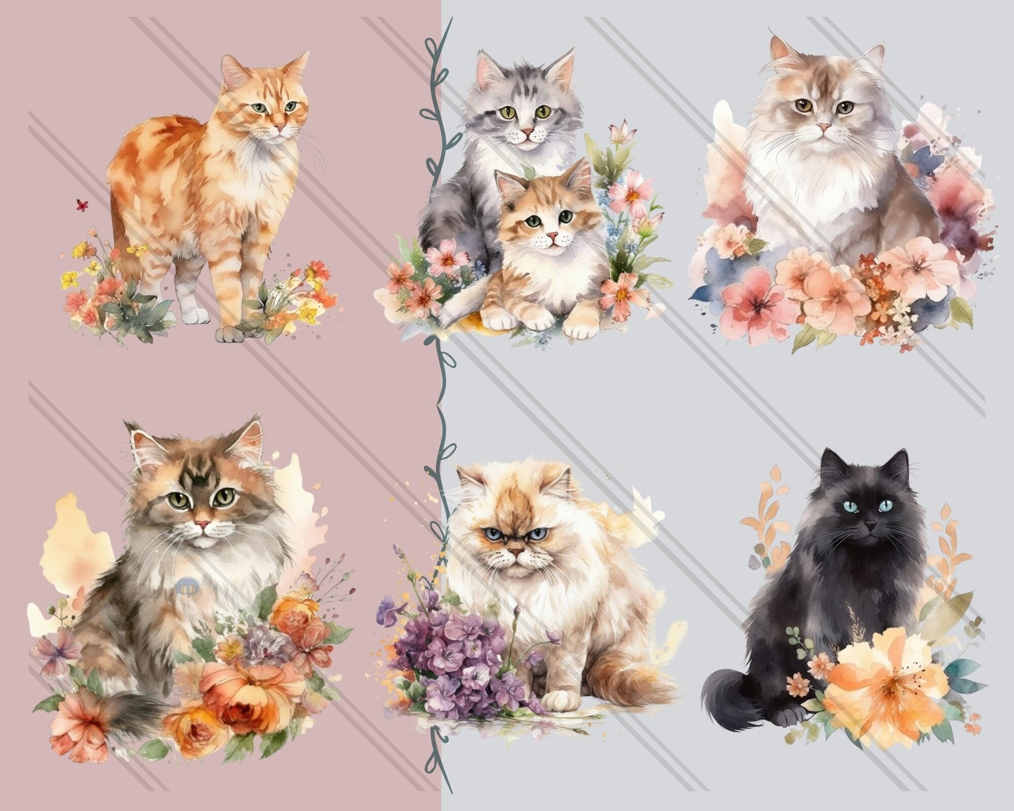 24 Cat Kitten and Flowers Clipart Watercolor Cat Pack - Etsy