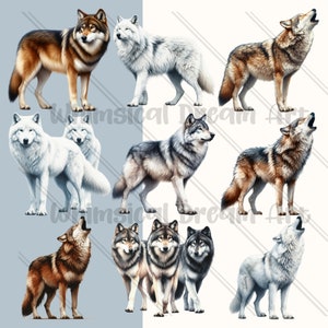 46 Wolf PNG Collection , Watercolor Wolves Pack, Wolf Pack, Wolf ...