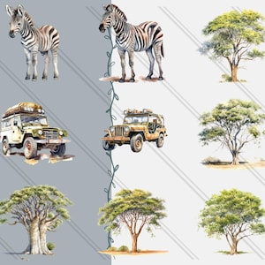 52 Safari Animals Clipart Watercolor Bundle, Jungle Safari PNG, African ...