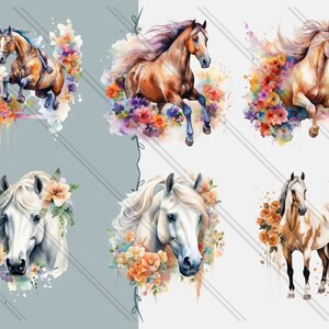 24 Horse PNG Collection |horse Clipart Set |watercolor Sublimation ...