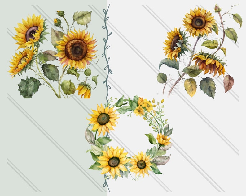21 Watercolor Sunflowers Clipart Bundle - Fall Sunflower Floral ...