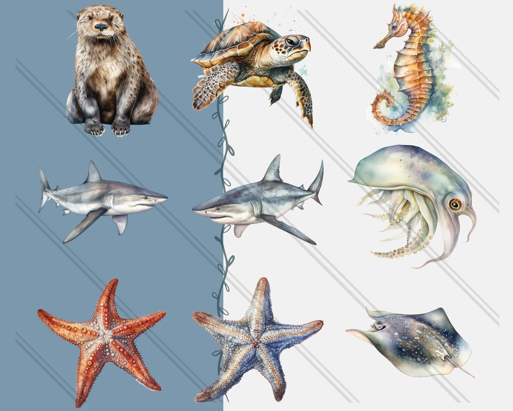 54 Watercolor Sea Creatures Clipart PNG Sealife Wall Art - Etsy