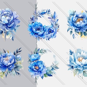 24 Watercolor Blue Peony Clipart - Peonies in PNG, Floral Clip Art ...