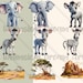 53 Safari Animals Clipart Watercolor Bundle, Jungle Safari PNG, African ...
