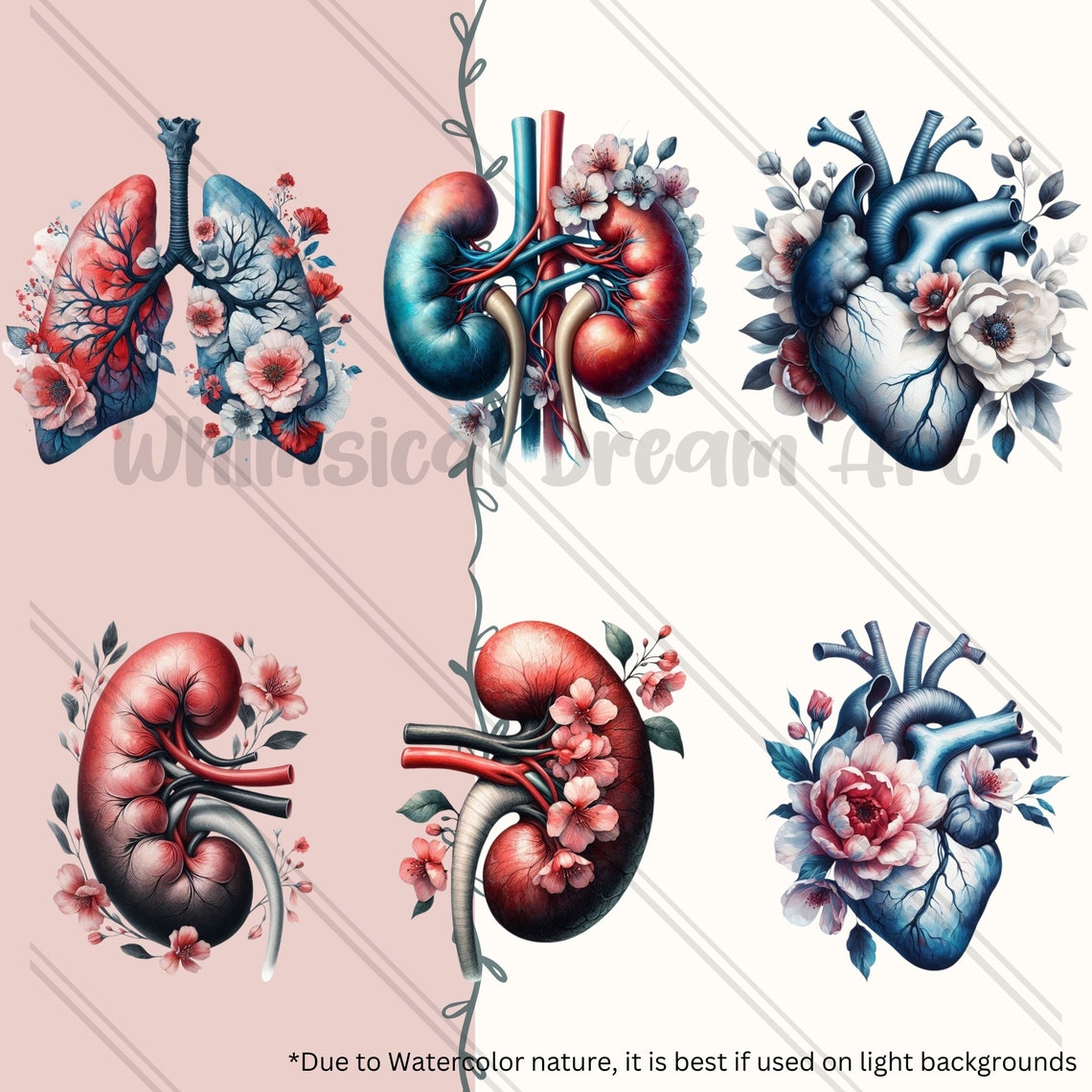 32 PNG Watercolor Organ & Flower Clipart, Watercolor Human Anatomy ...