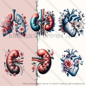 32 PNG Watercolor Organ & Flower Clipart, Watercolor Human Anatomy ...