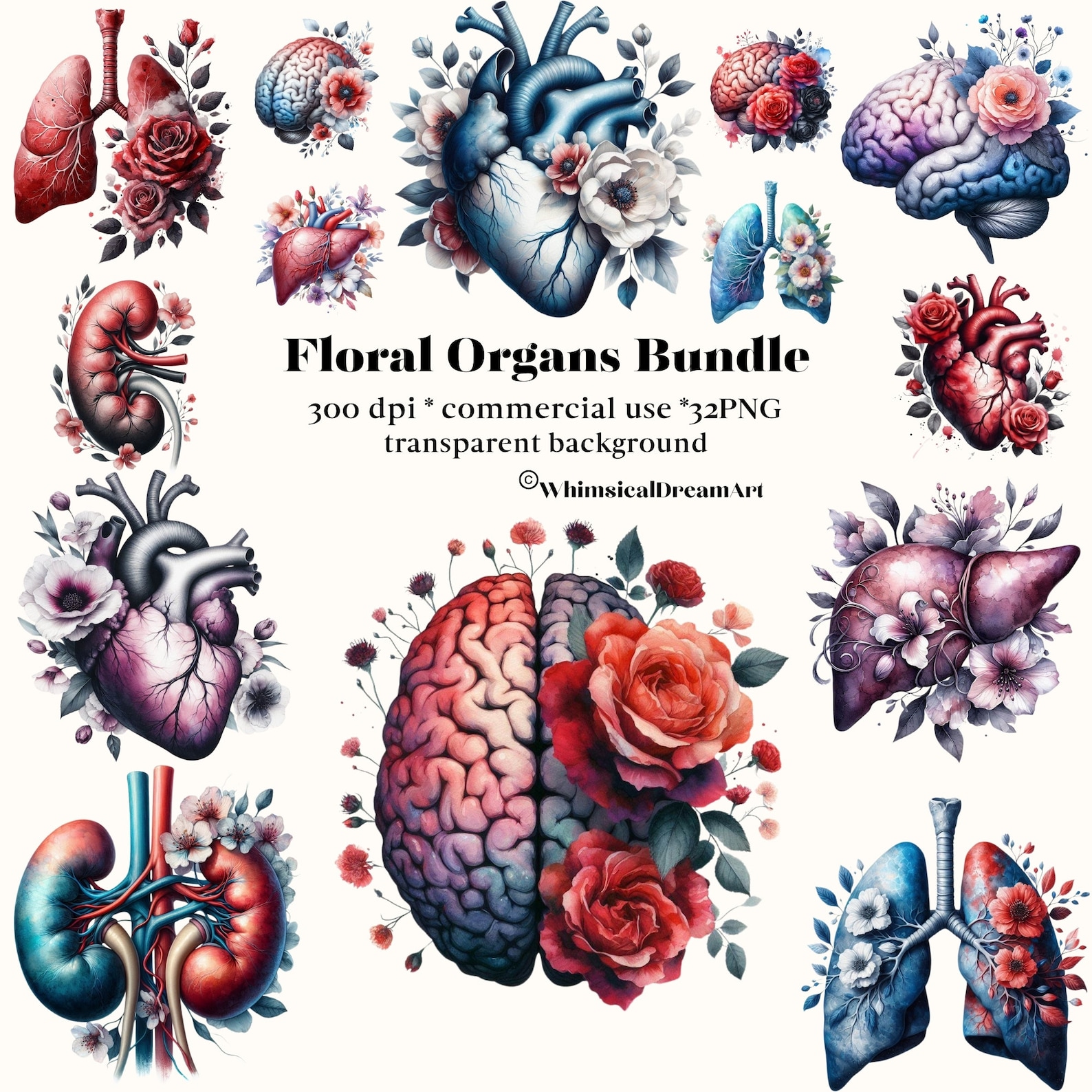 32 PNG Watercolor Organ & Flower Clipart, Watercolor Human Anatomy ...