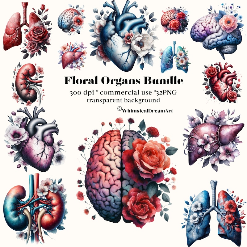 Anatomy Valentines Card - Etsy