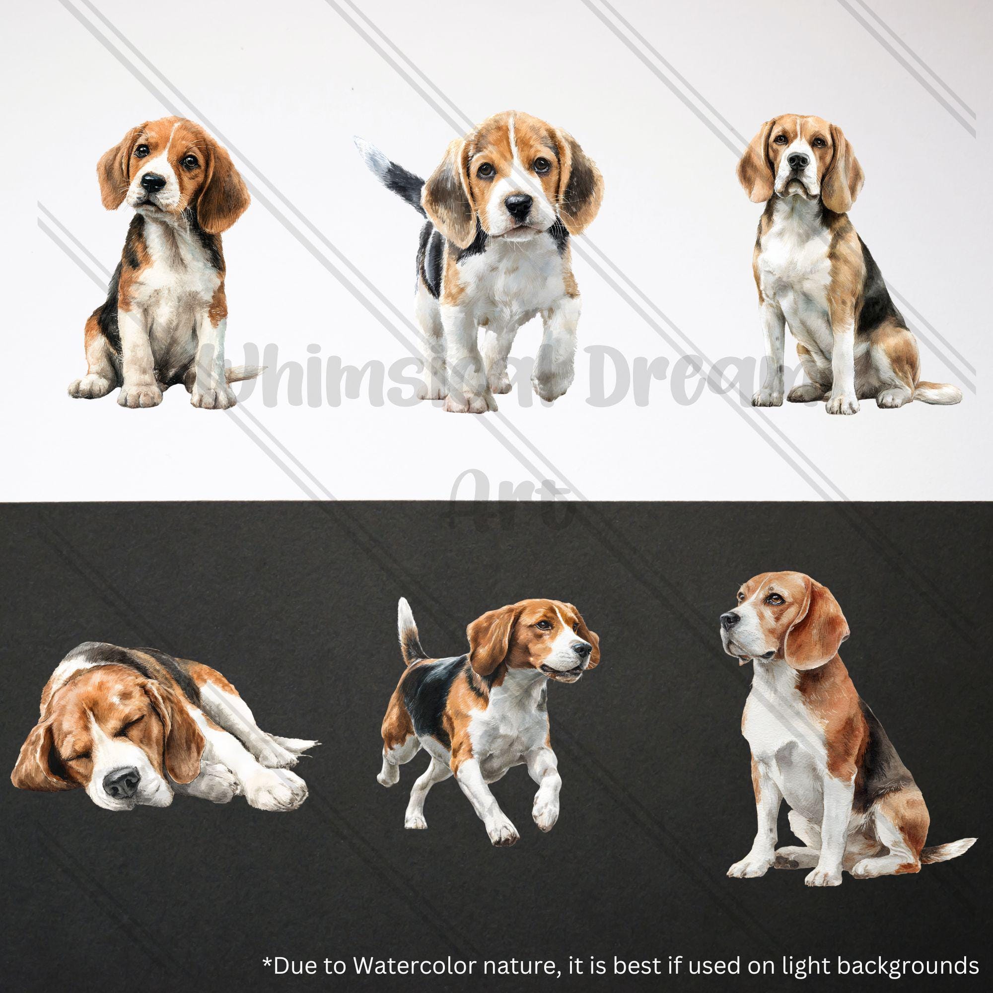 13 Beagle Watercolor Clipart Transparent Background, Clipart Bundle ...
