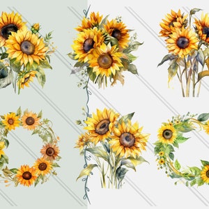 21 Watercolor Sunflowers Clipart Bundle - Fall Sunflower Floral ...