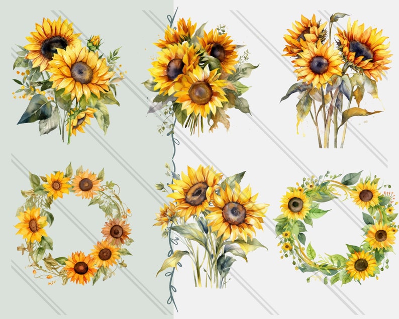 21 Watercolor Sunflowers Clipart Bundle - Fall Sunflower Floral ...