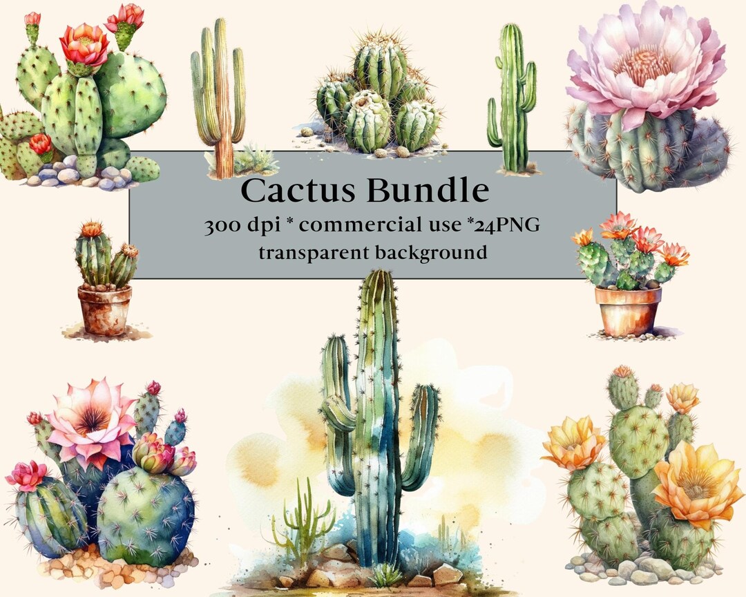24 Watercolor Cactus Clipart - Desert Cacti, Desert Flora, Succulent ...