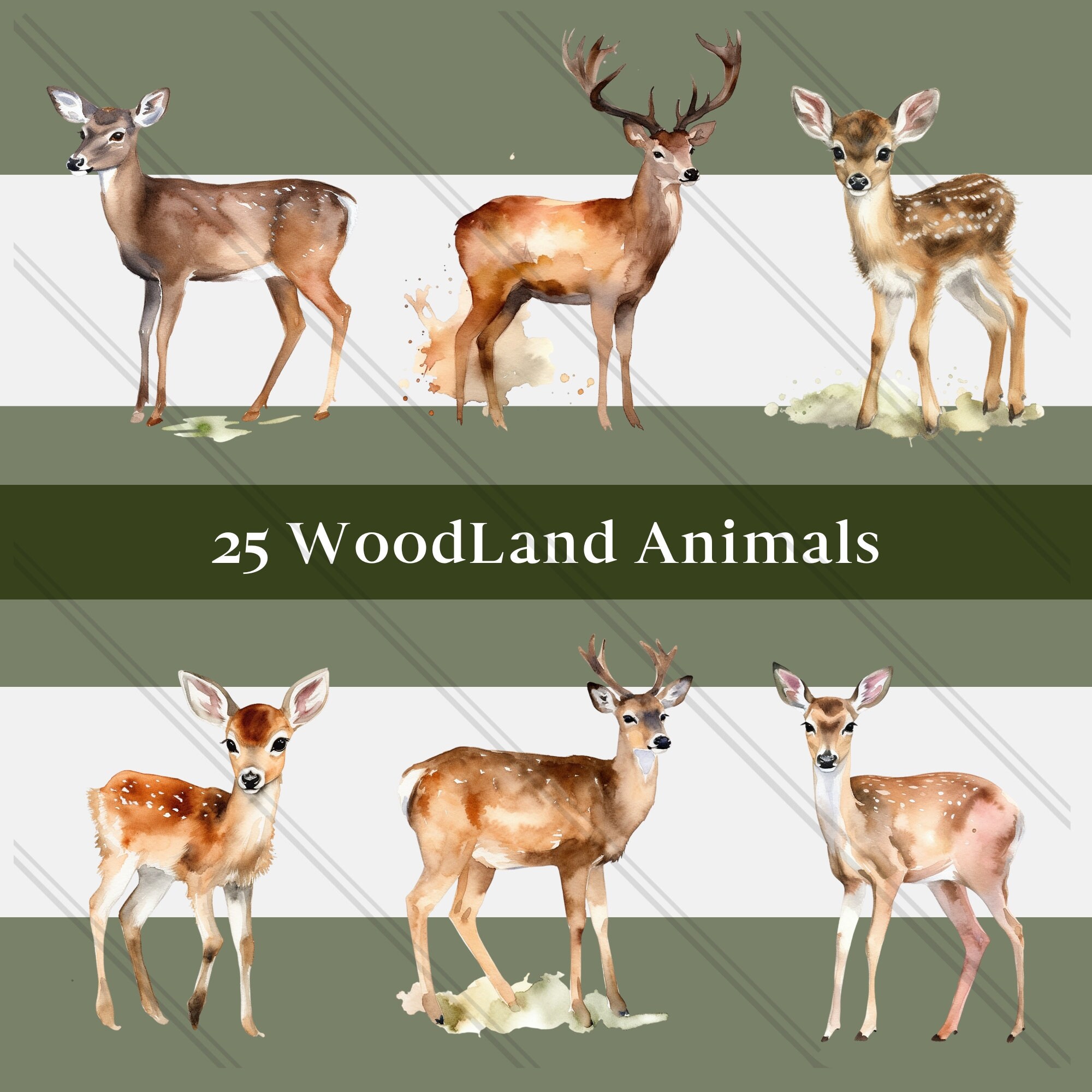 25 Woodland Animals Clipart PNG Watercolor Forest Animal - Etsy
