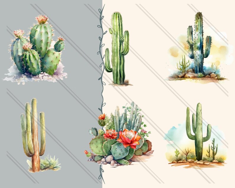 24 Watercolor Cactus Clipart - Desert Cacti, Desert Flora, Succulent ...