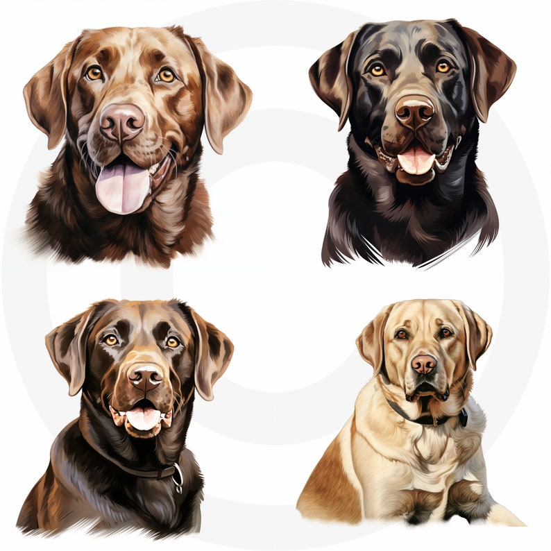 Dog Clipart 490 Images, Watercolor, Watercolor, Dog Breeds, Digital ...