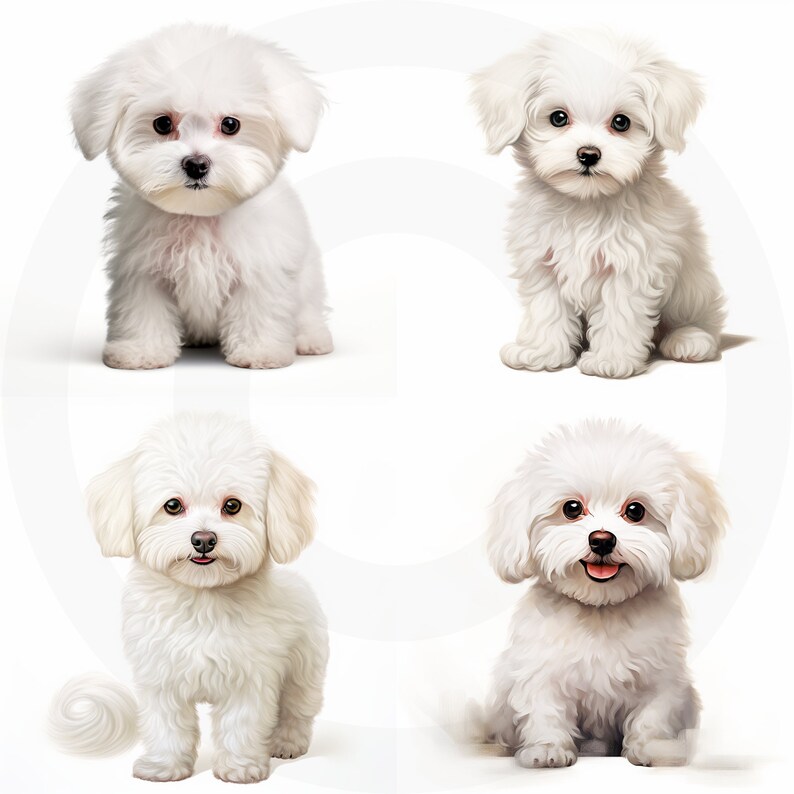 Dog Clipart 490 Images, Watercolor, Watercolor, Dog Breeds, Digital ...