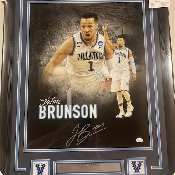 Jalen Brunson Art - Etsy