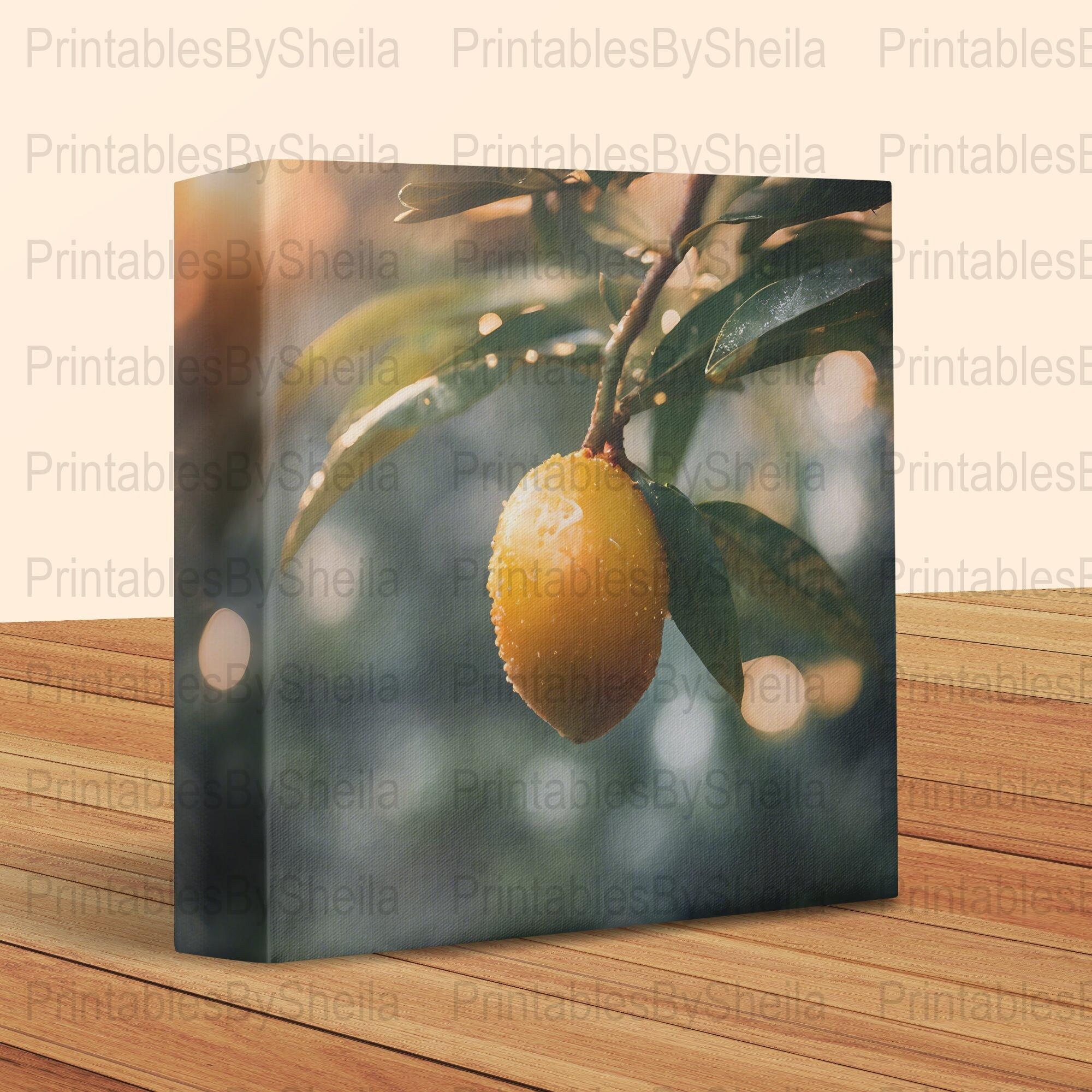 Mango Watercolor Art Print, Mango Kitchen Decor, Fresh Mango Wall Art ...