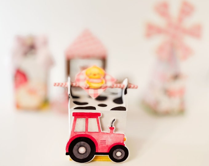 Farm Girl - Party Favors Boxes -straw Box - Birthday. 10 Pices - Etsy