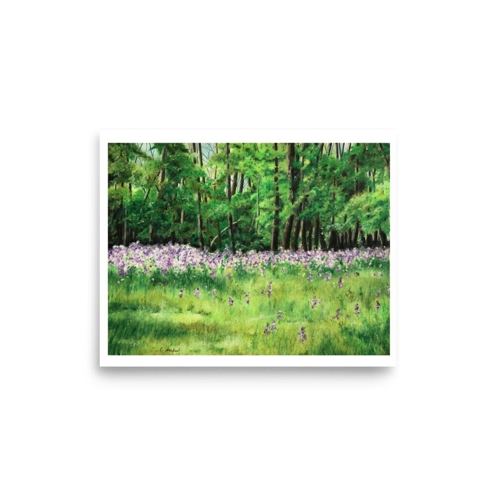 Spring in the Woods Photo Paper Poster - Etsy