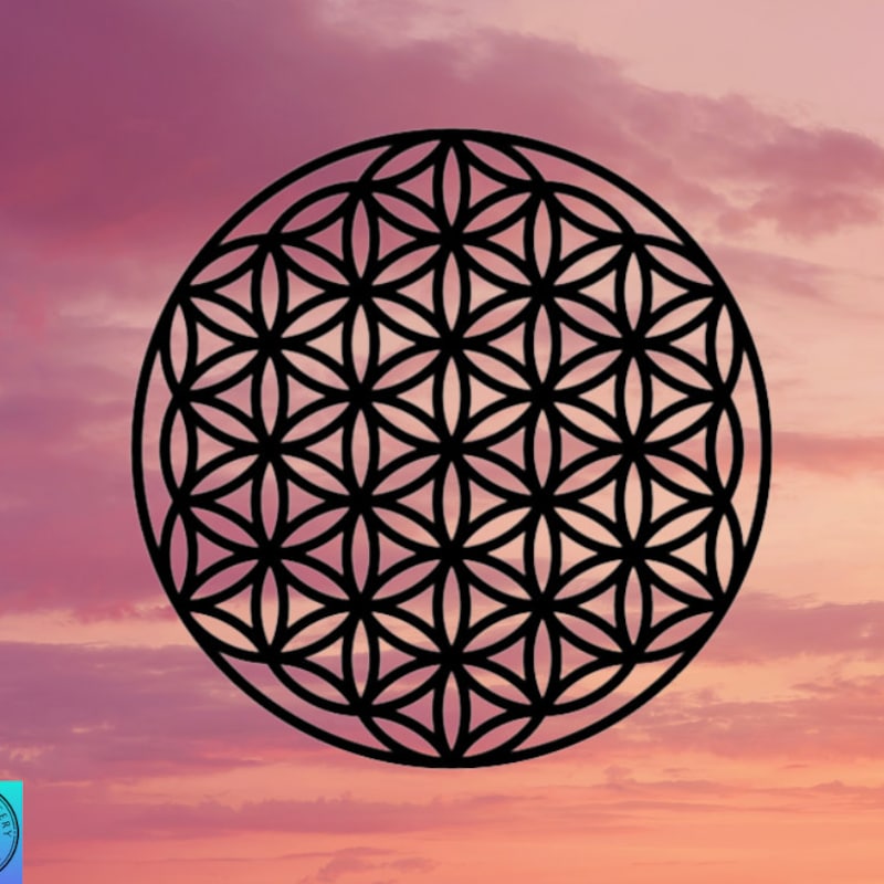 Life Vinyl Decal - Etsy