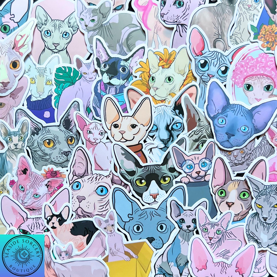 Sphynx Cat Stickers, Hairless Cats, Sphynx Lovers, Random Sticker Packs ...
